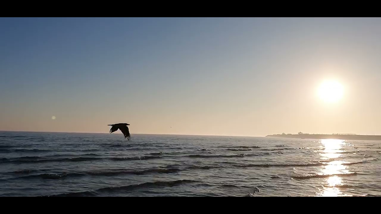 Day11: The nature voice is the best voice for meditation 👌👌👌 - YouTube