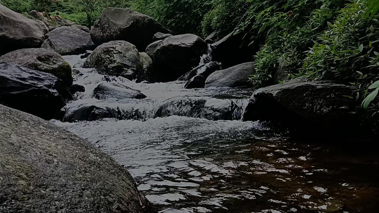 Soft River Stream Sound to Calm Your Mind | Stress Relief & Sleep Aid ...