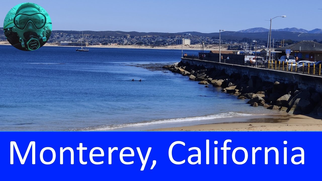 Scuba Diving - Breakwater Cove, Monterey, California - Kelp Forests ...