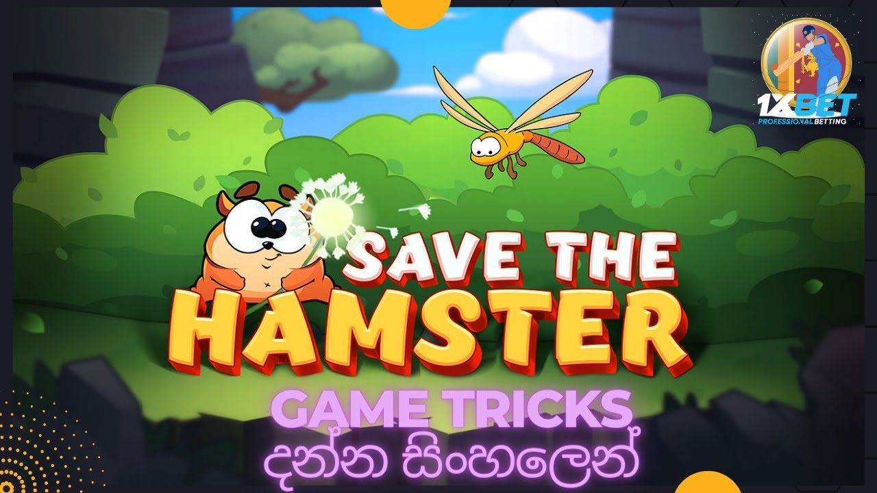 Save the Hamster Game Tutorial 🐹| 1xBet SL Tutorials| සේව් ද හැම්ස්ටර් ...