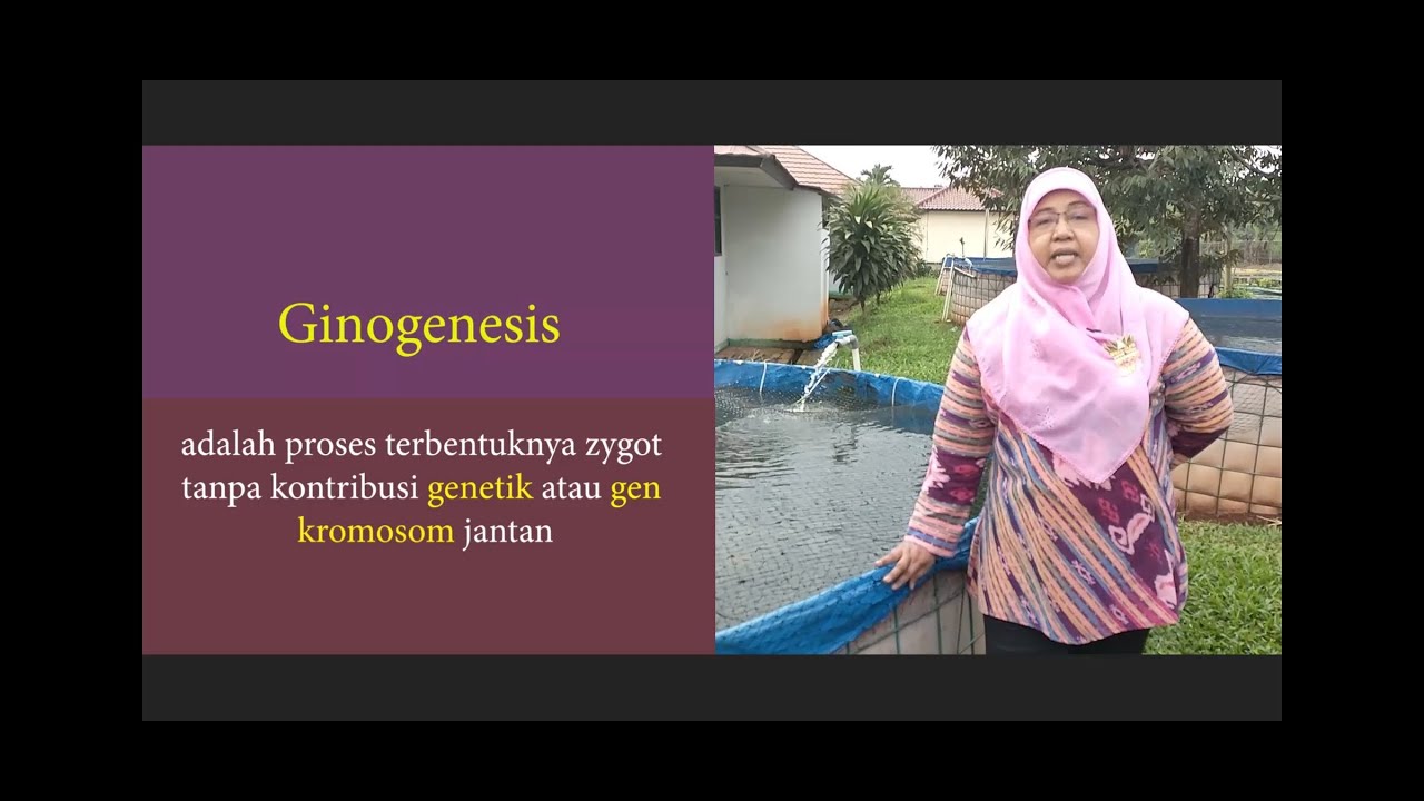ginogenesis - YouTube