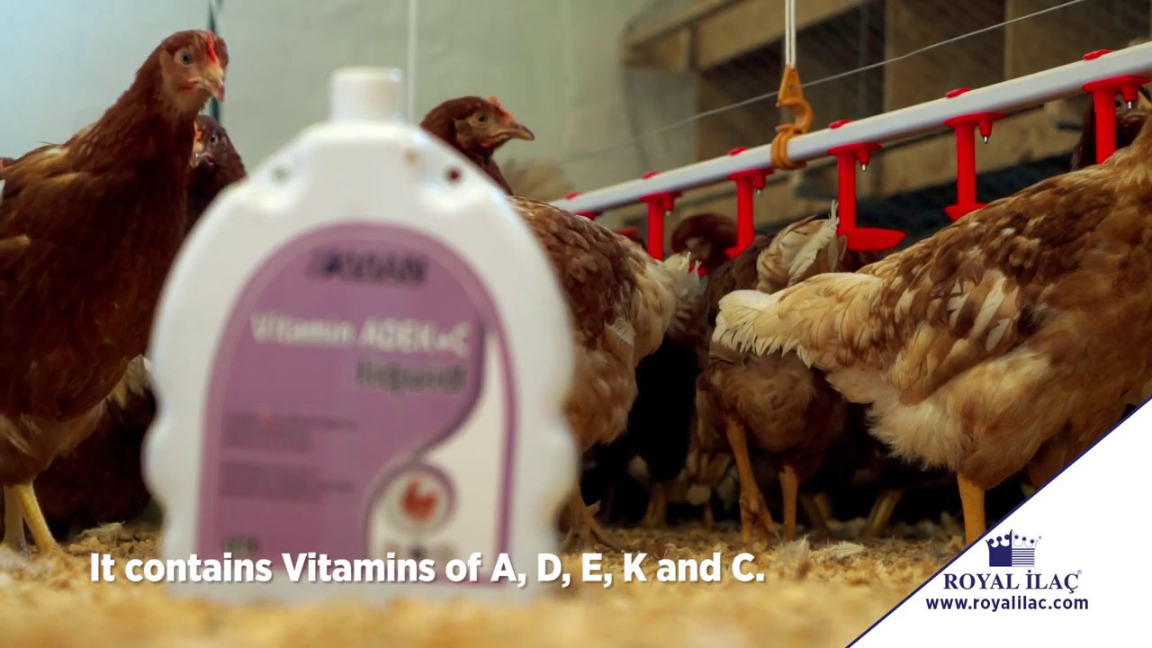 The water-soluble version of the Oil-soluble ADE and K vitamins.Vitamin ...