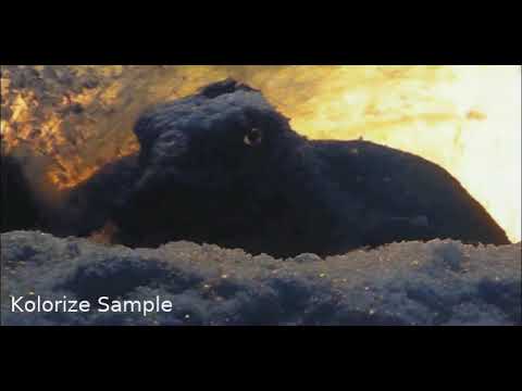 Gamera awakening \