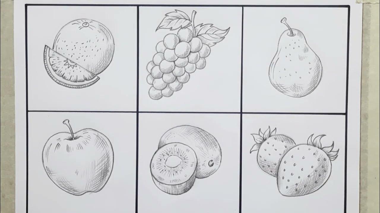 6 Fruits Drawing / How to draw Fruits with Pencil Sketch / Step-by-step ...