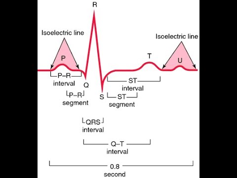 Introduction to Electrocardiogram ECG waves and intervals - YouTube
