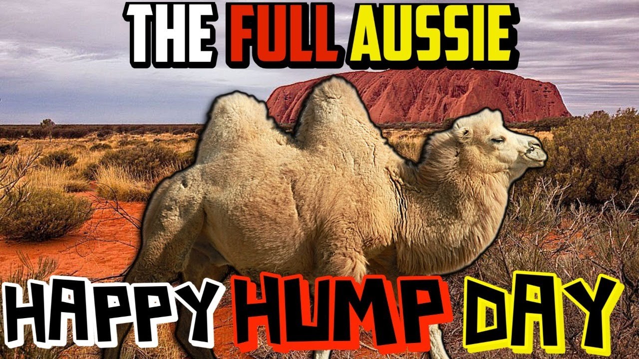 Happy Hump Day #2 - The Full Aussie - YouTube