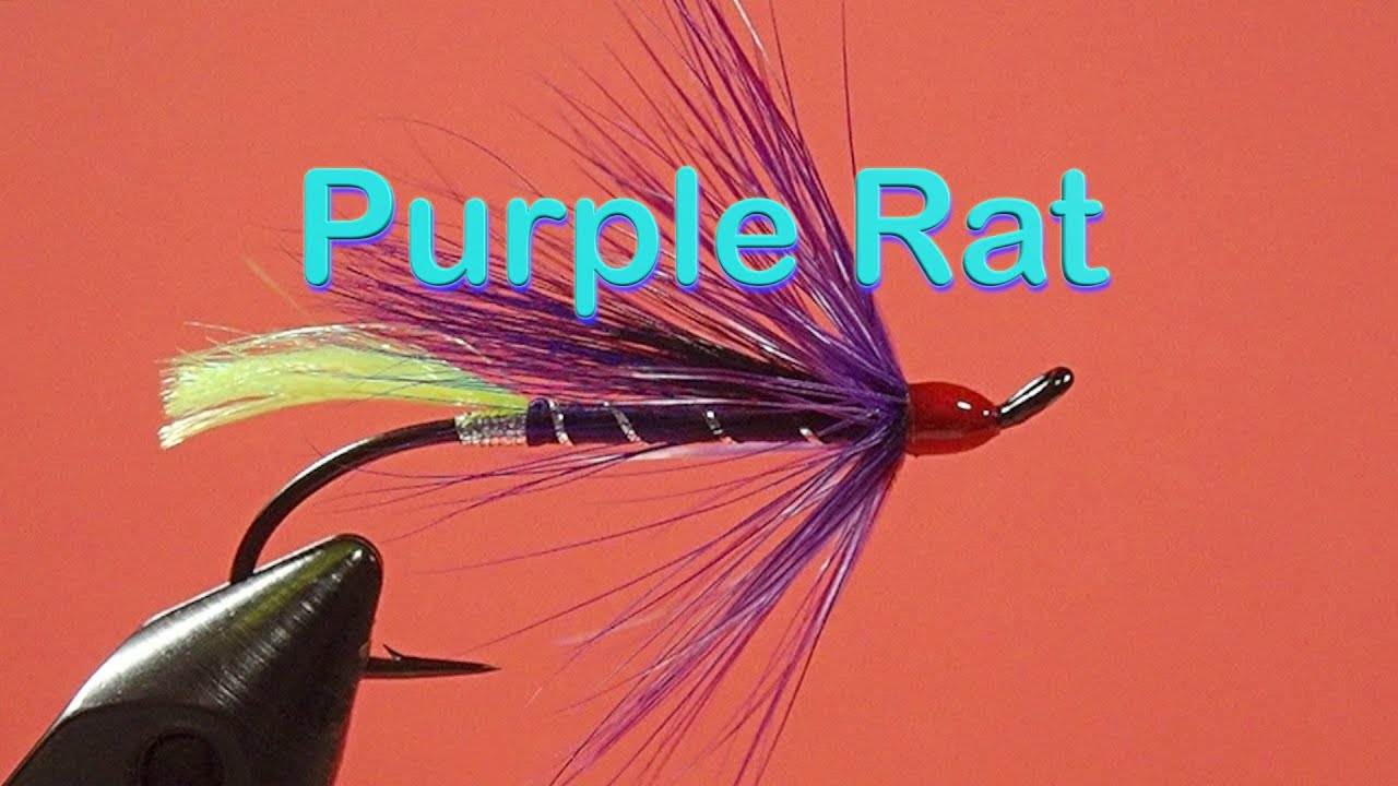 Beginner's Fly Tying Series: Easy Atlantic Salmon Patterns - the Purple ...