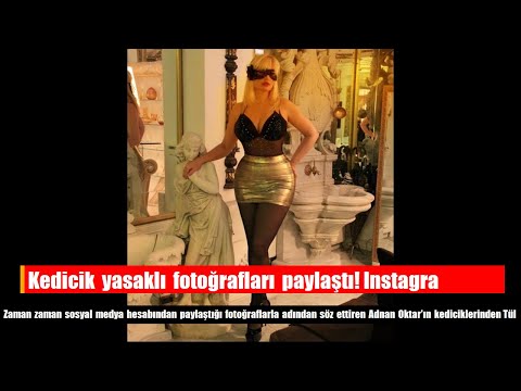 Kedicik yasaklı fotoğrafları paylaştı! Instagram yıkıldı