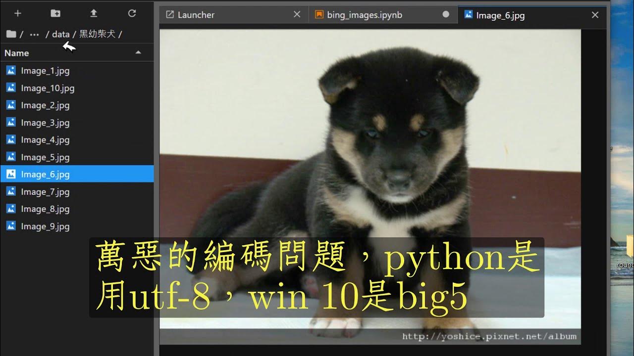 用python bing image downloader套件下載黑幼柴犬圖 - YouTube