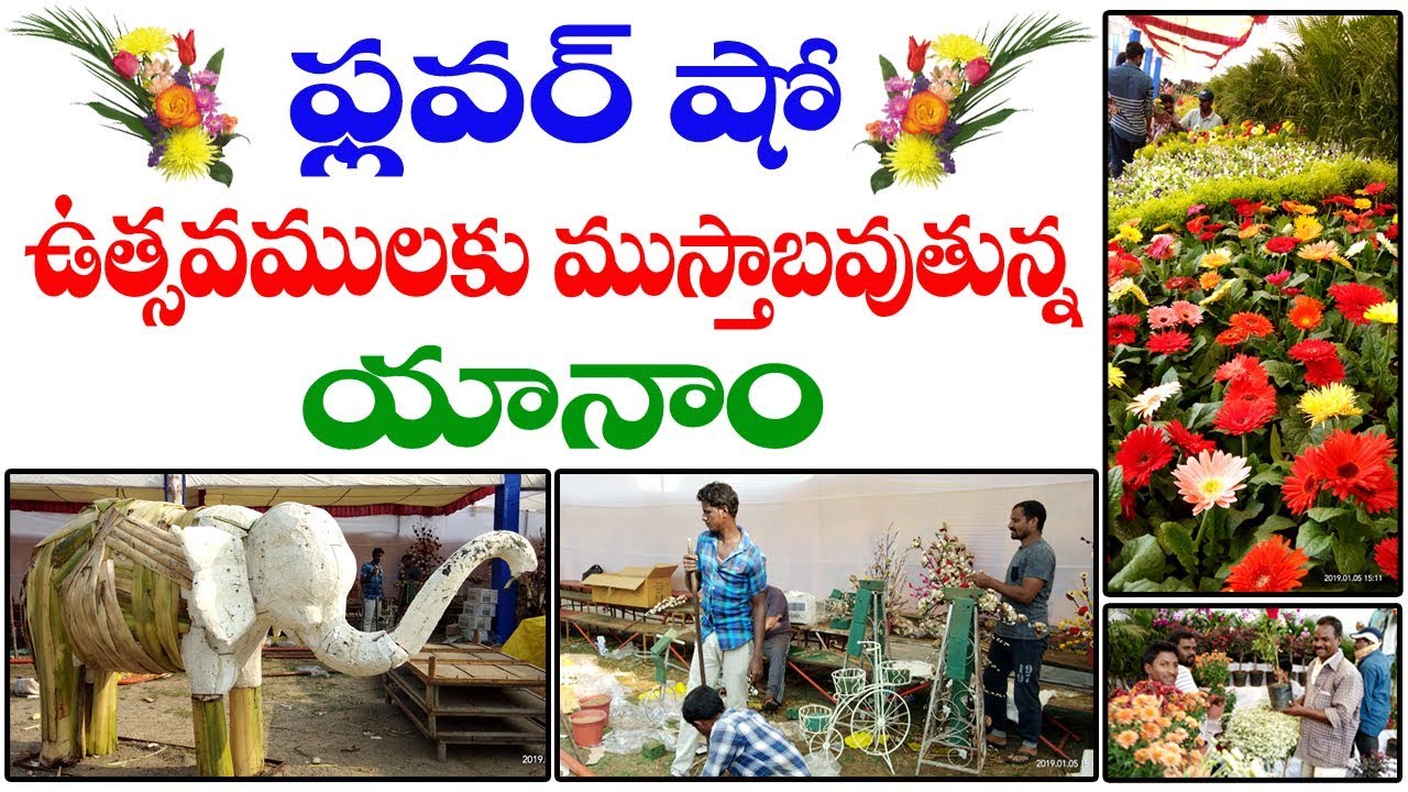 Yanam flower show & People Festival 2019 to Start on Jan 6th - 8th ...