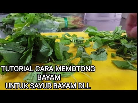 TUTORIAL CARA MEMOTONG BAYAM UNTUK DI JADIKAN MENU MASAKAN BAYAM REBUS ...