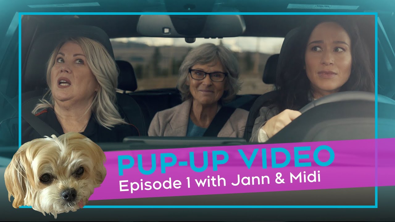 Pup-Up Video: Gallbladders, Sarah McLachlan, Dilly Bars | JANN S2E1 ...
