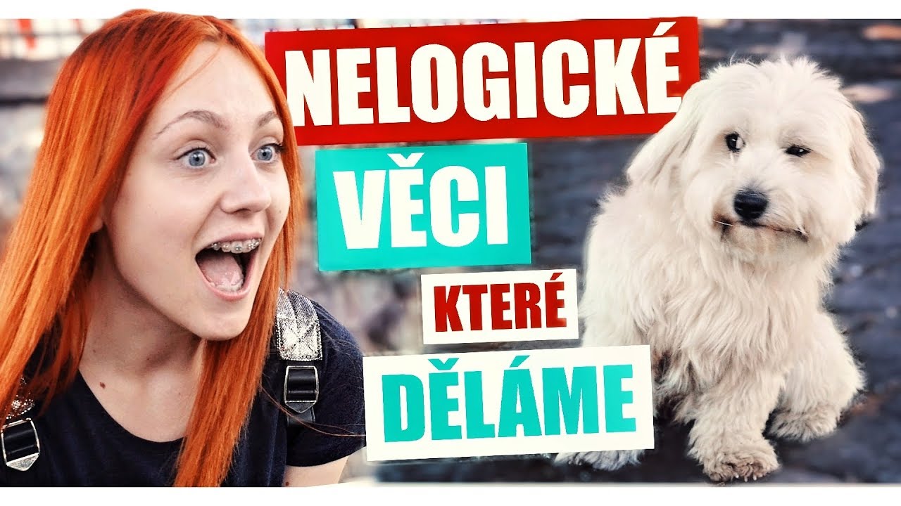 NELOGICKÉ VĚCI, které děláme #5 | NATYLA - YouTube