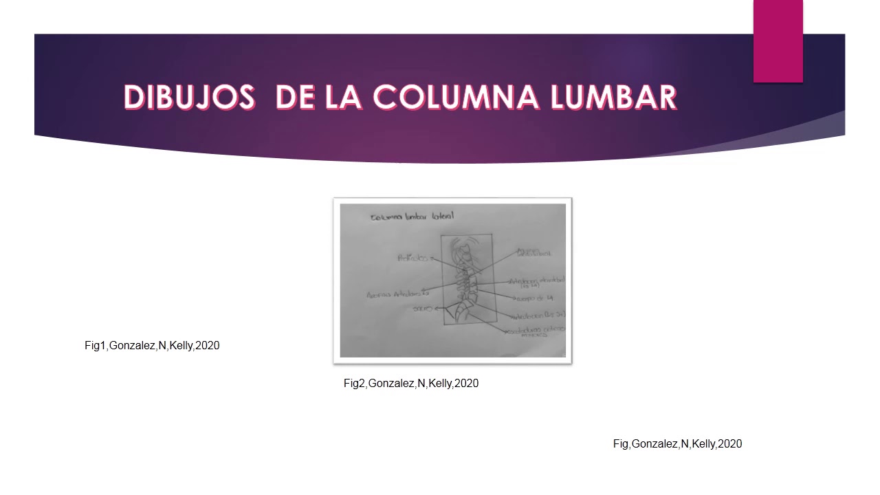 Anatomia de la columna lumbosacra - YouTube