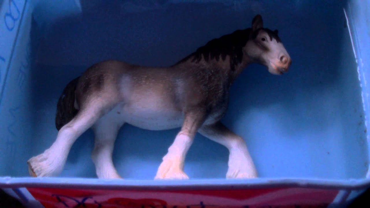 What Happens When: You Put A Schleich Horse In The Freezer - Part 1 ...