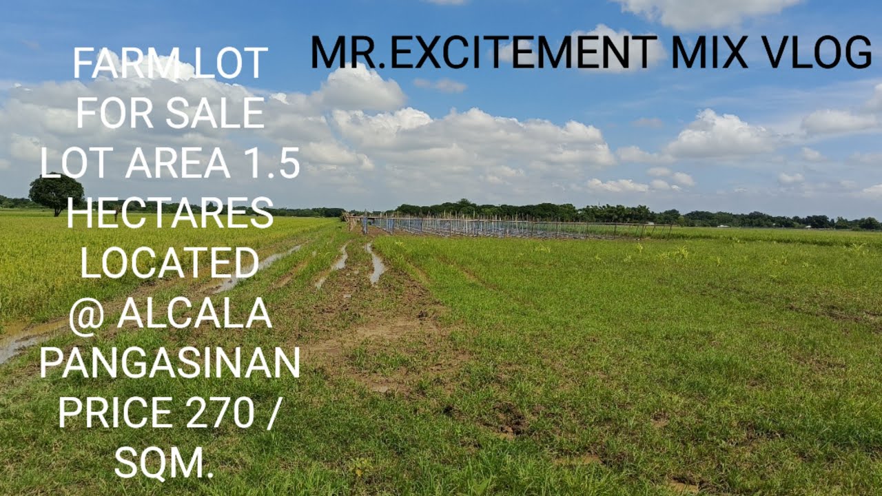 V#86 1.5 HECTARES FARM LOT FOR SALE @mr.excitementmixvlog - YouTube
