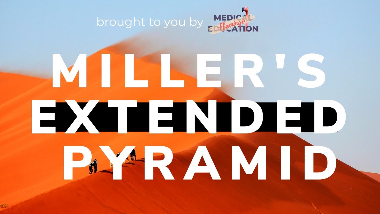 What is Miller's Pyramid of Competence and Why is it Extended Now ...