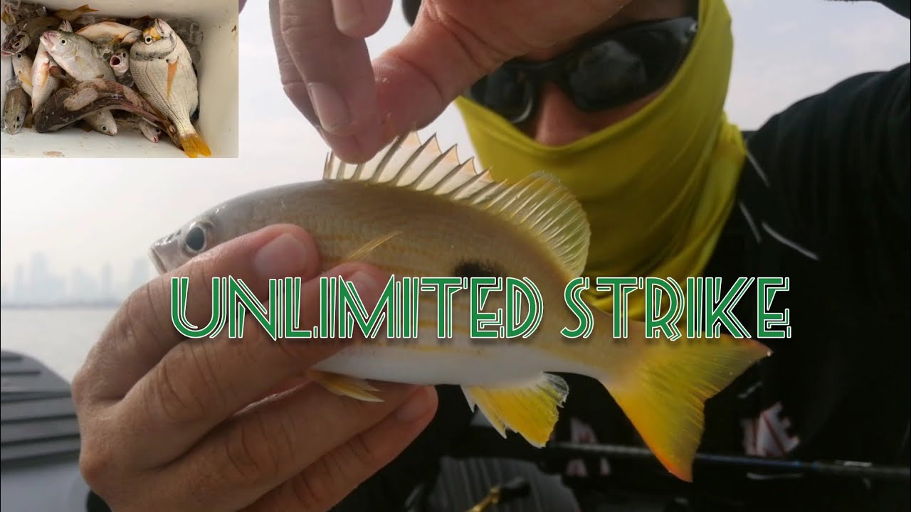Unlimited Strikes Fish On - YouTube