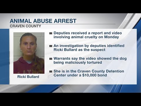 Craven County woman arrested in connection with video of dog abuse