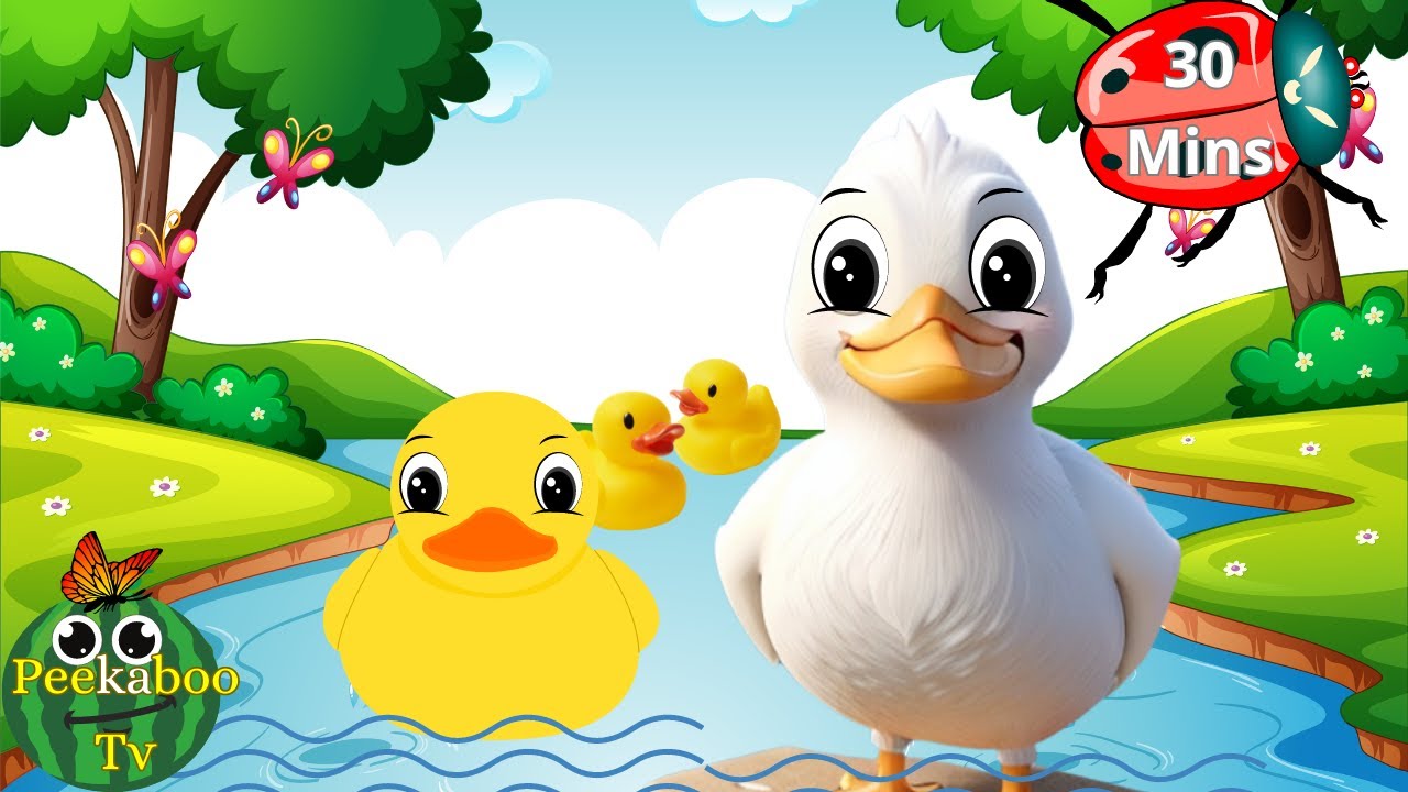 Five Little Duckies 30 MIN LOOP | Animal Songs For Kids - YouTube
