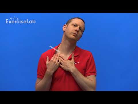 BOYUN KASI GERME SCALENE GERME