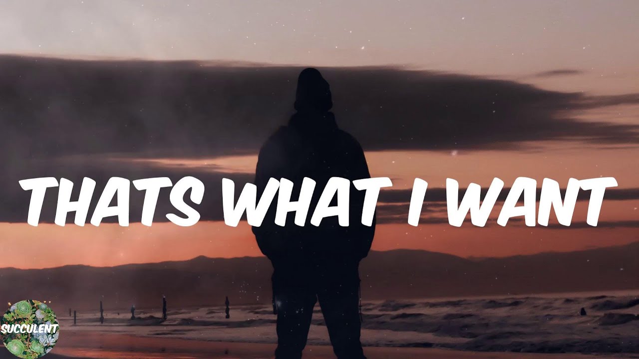 Lil Nas X - THATS WHAT I WANT (Lyric Video) - YouTube