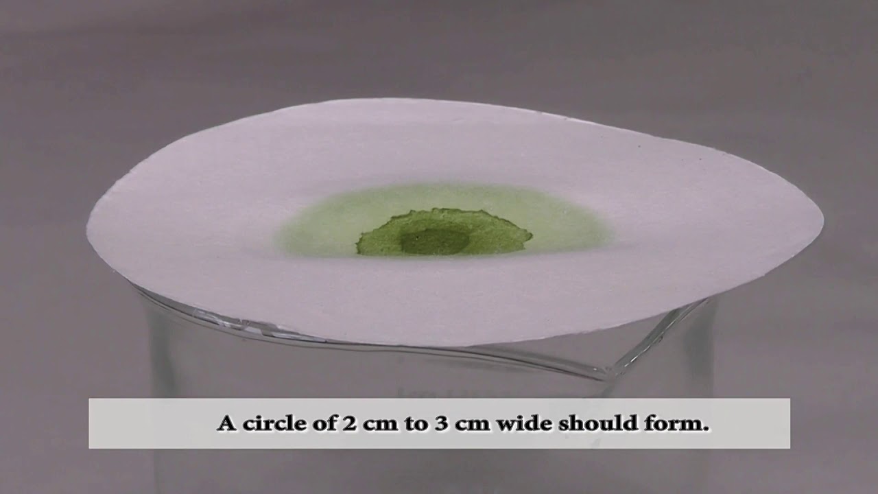 BSc SEPARATING COLOURS WITH PAPER - YouTube