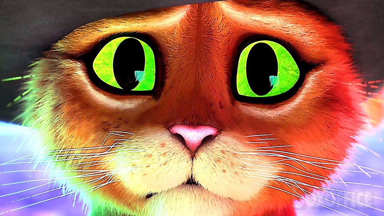 The Last Wish Scene | Puss in Boots: The Last Wish | CLIP - YouTube