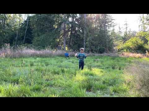 Cricket hunting August 20, 2020 - YouTube