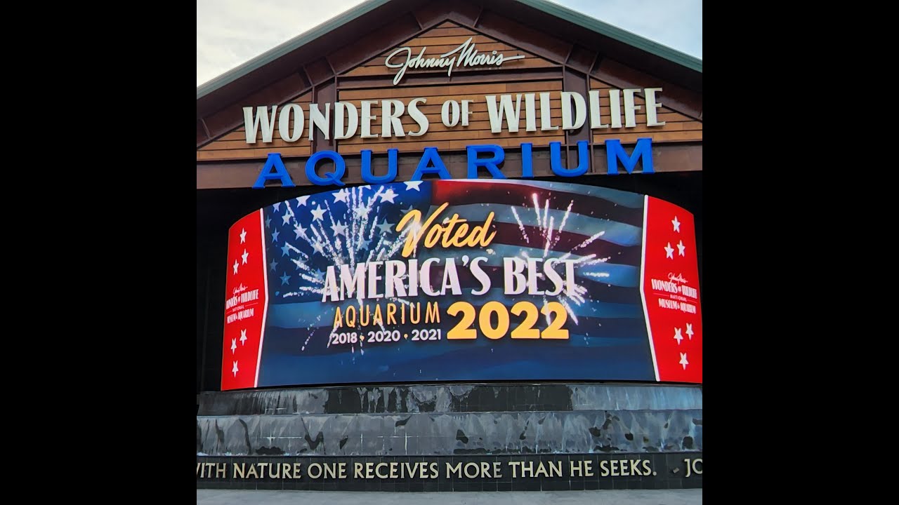 Wonders of Wildlife Aquarium, Bass Pro Shops, Springfield Missouri ...