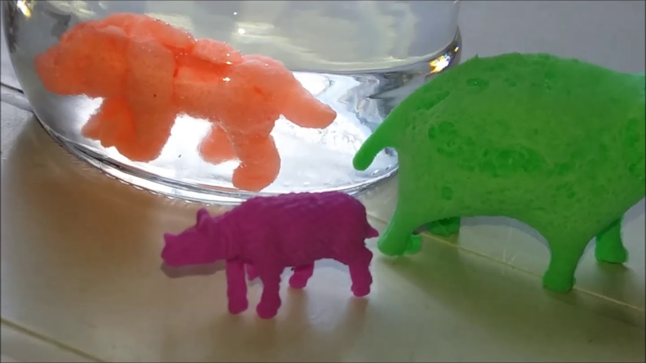 Colored Growing - YouTube