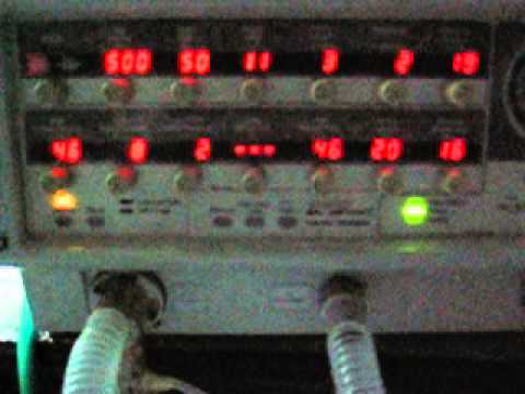 Birds 8400 test1 - YouTube