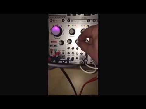 Mutable instruments - Rings (hidden FM mode) Eurorack Modular Synth - YouTube
