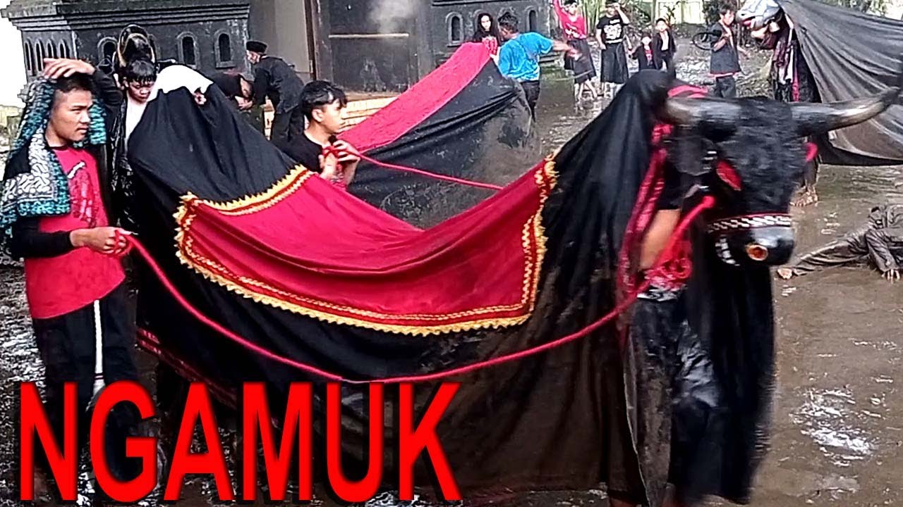 NGAMUK !! BANTENGAN NGROTO JOYO NUSWANTORO Live Punden Ngroto Pujon ...