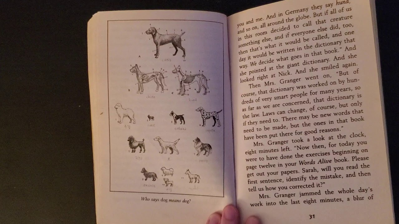 "Frindle" - Chapters 5 and 6 - YouTube