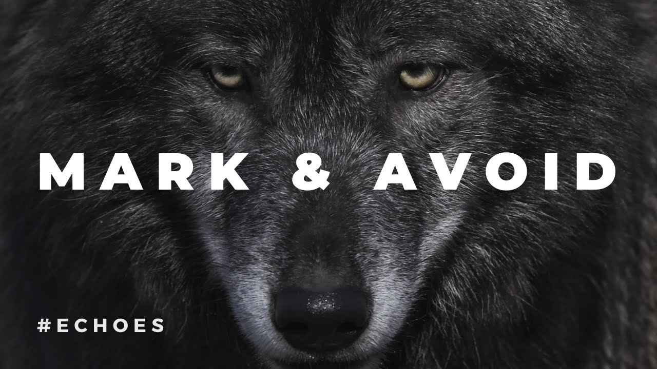Mark and Avoid: Saiko Woods - YouTube