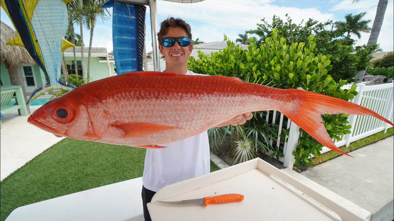 The Queen of Snapper! How to Fillet and Clean! - YouTube