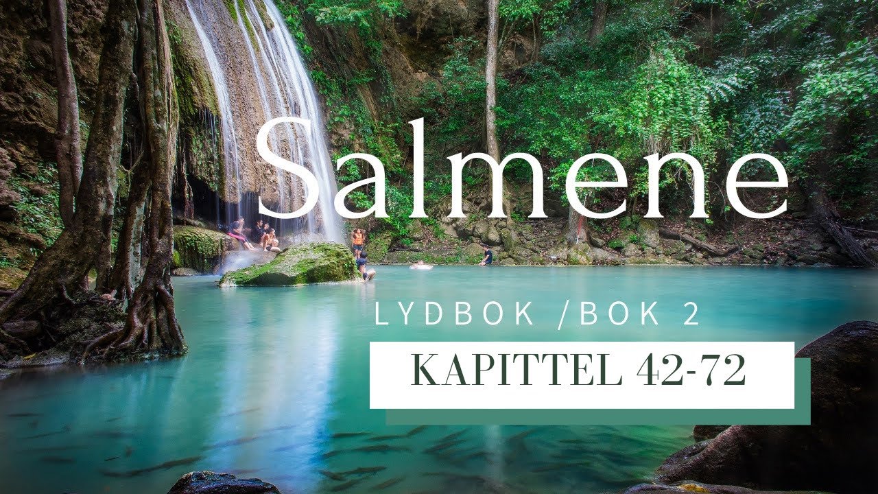 Salmenes bok/ 2. bok kapittel 42-72/ Bibelen Guds ord/ Lydbok uten ...
