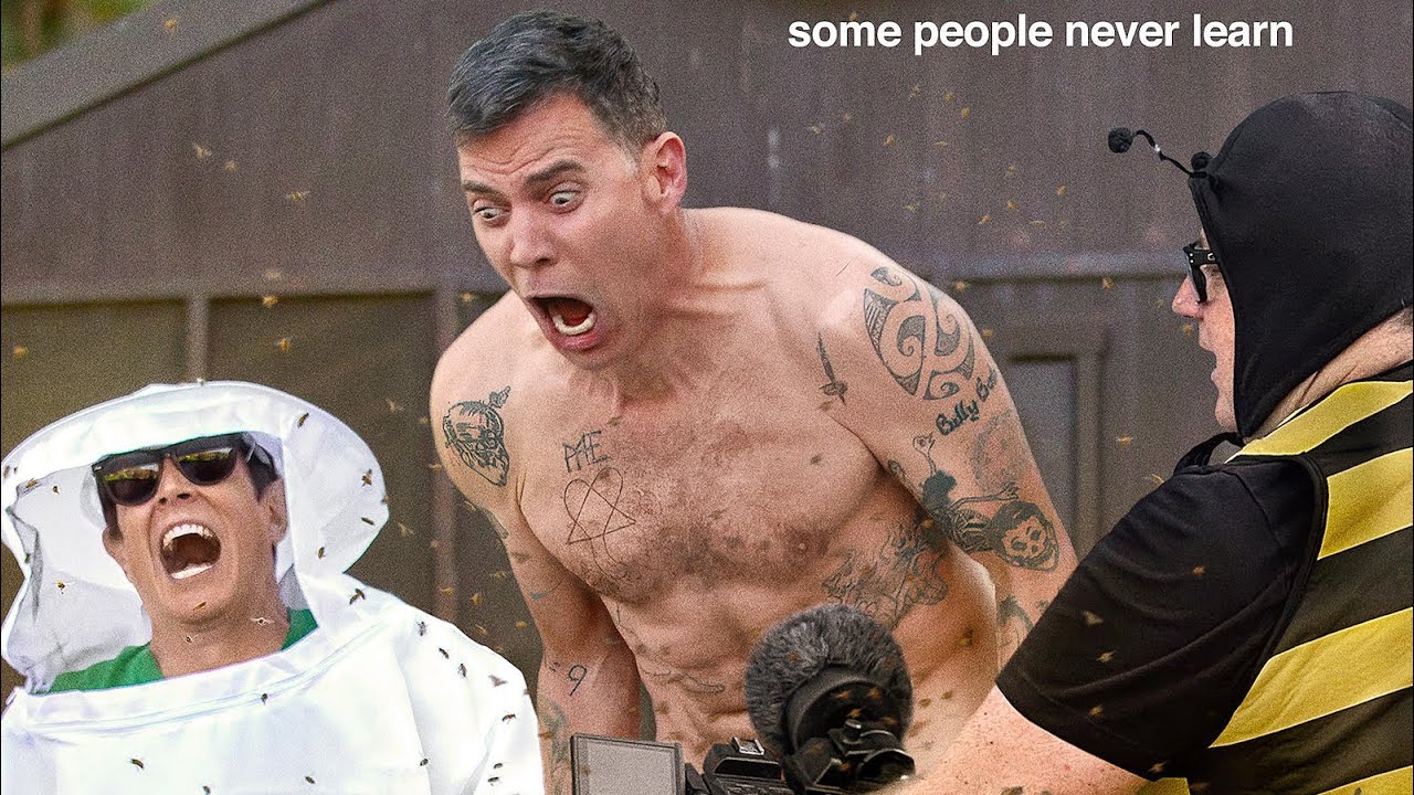 Jackass Hit In The Nuts