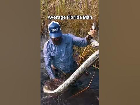 @PythonCowboy diving python catch #onlyinflorida - YouTube