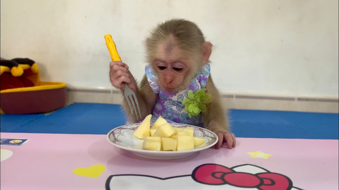 abi monkey can use a fork without mom help - YouTube
