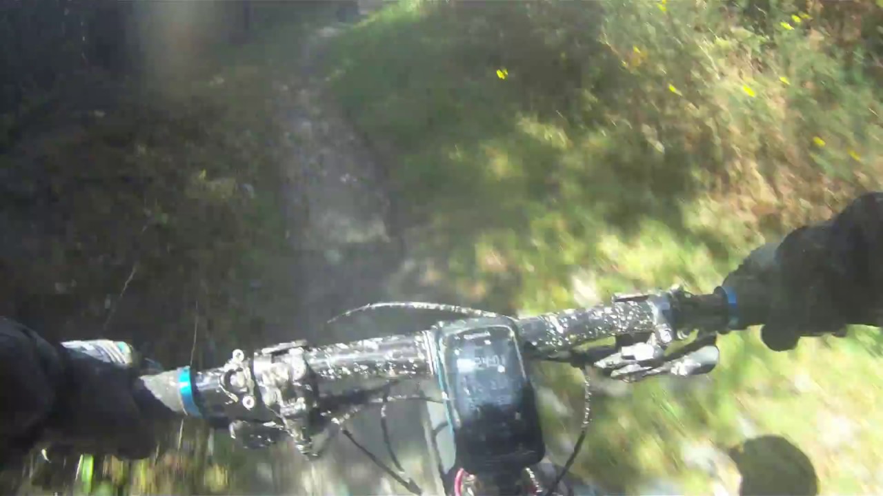 Gorlech Brechfa Trail, Wales GoPro HD MTB - YouTube