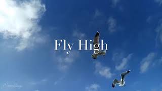 Fly High Quotes Flying High...staying Grounded Journey To My