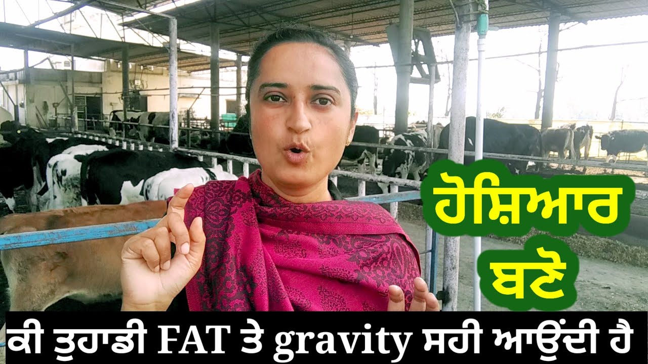 is your LACTometer giving correct reading🤐 milk test fat and SNF - YouTube