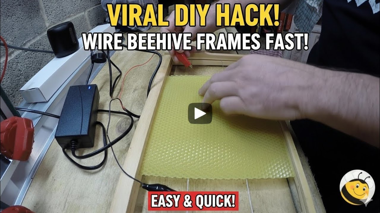 How to wire bee hive frames & set foundation. - YouTube