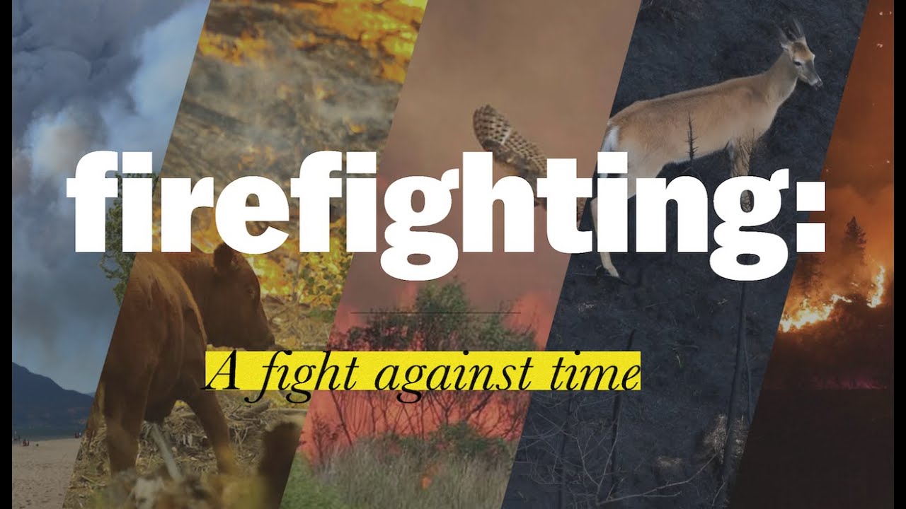 firefighting: a fight against time - YouTube