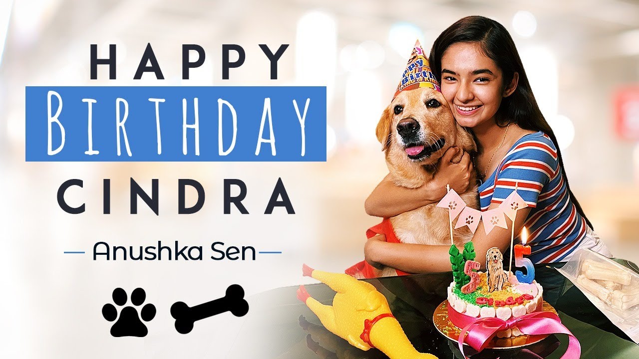 My Cindra’s Birthday Pawty! | Celebrating Cindra’s Birthday | Anushka ...