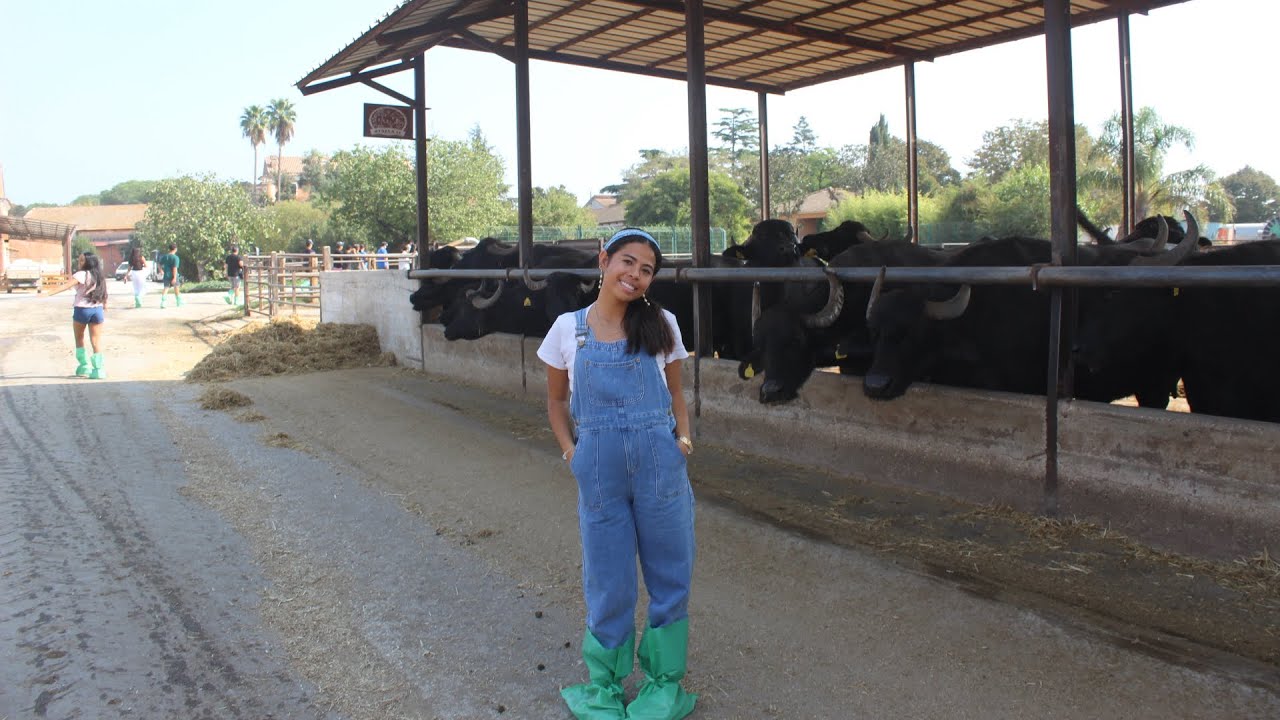 Day 7 (Mozzarella Farm, Pompei, and Napoli) - YouTube