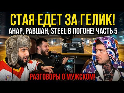 Анар, Равшан, Steel Стая едет за Геликом: Разговоры о Мужском!