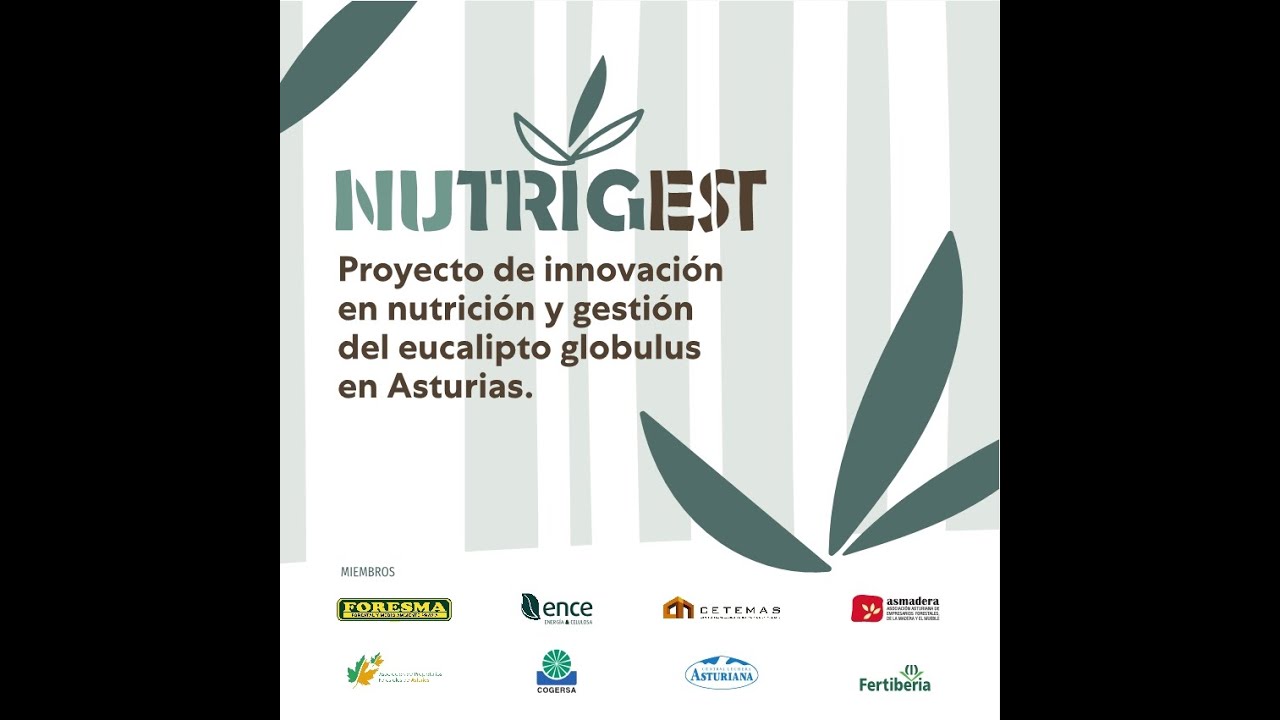 Proyecto NUTRIGEST presentación - YouTube